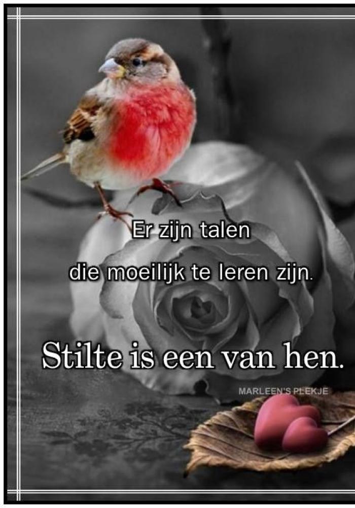 💬 Banzitters stilte meme Soundboard