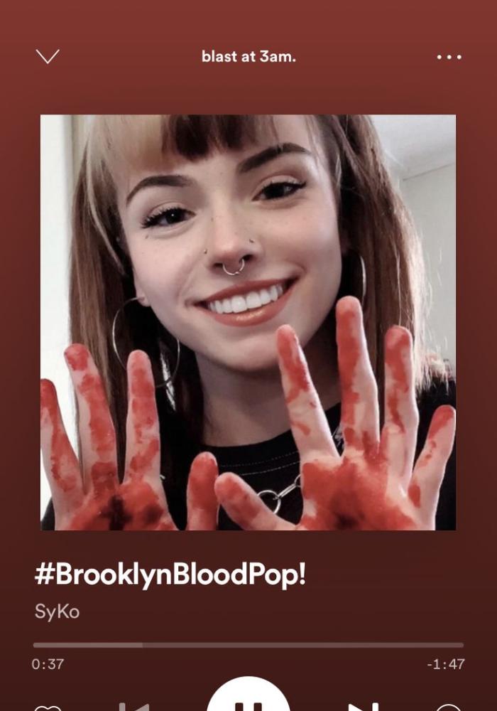 💬 Brooklynbloodpop Soundboard