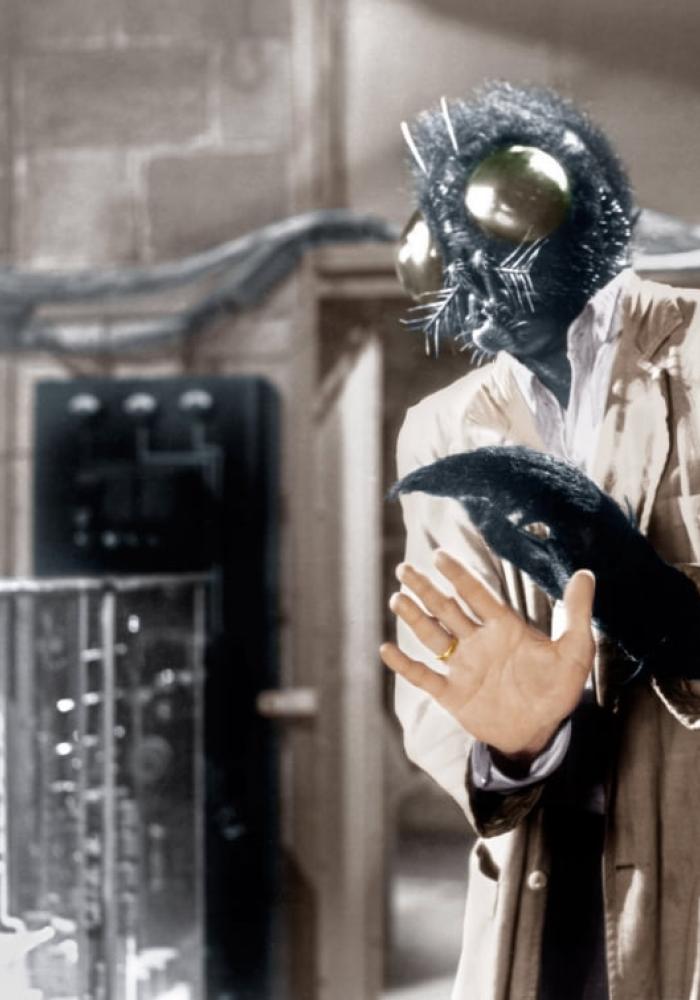 💬 The Fly (1958) Soundboard