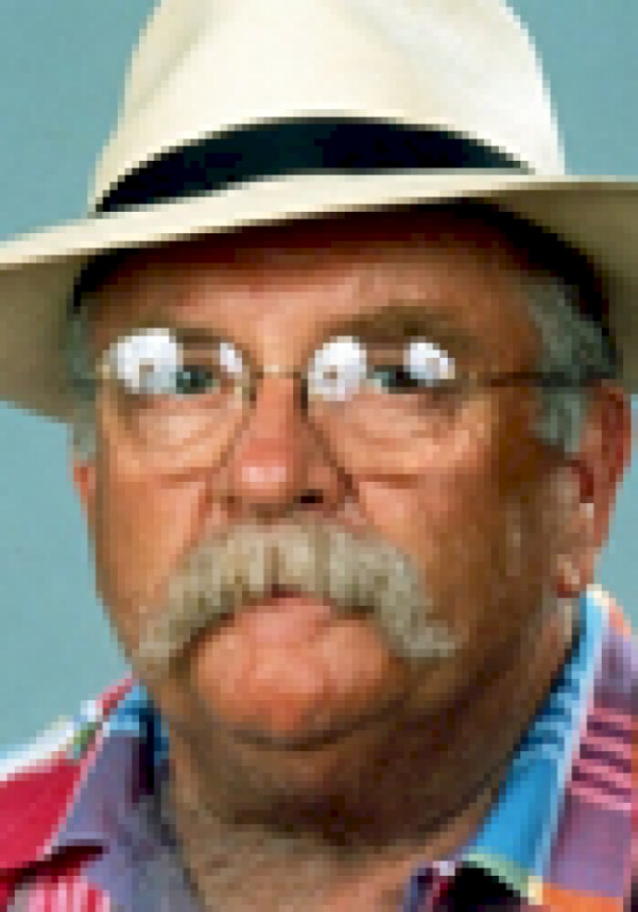 Wilford Brimley Diabeetus