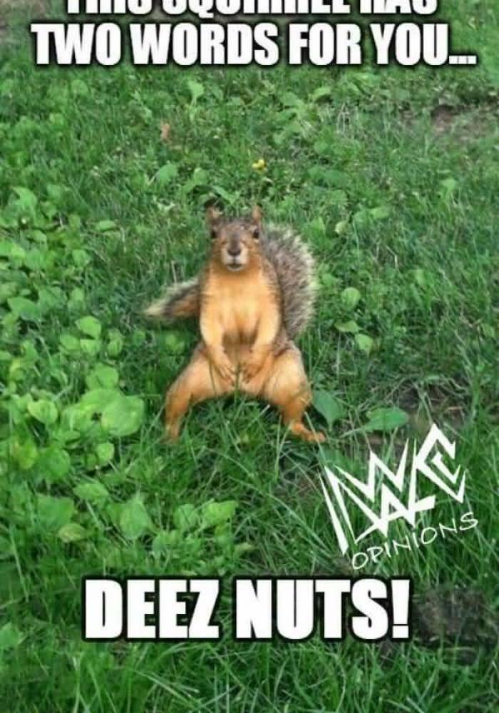 💬 You want this nut? Soundboard