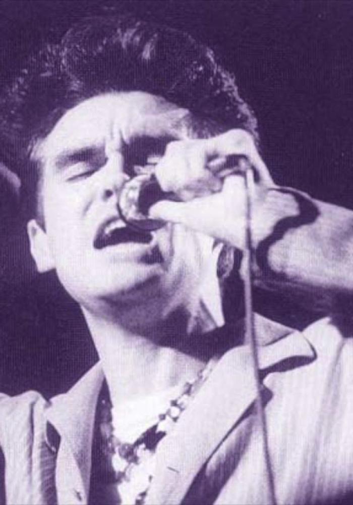 💬 The Smiths: Hand in Glove Soundboard