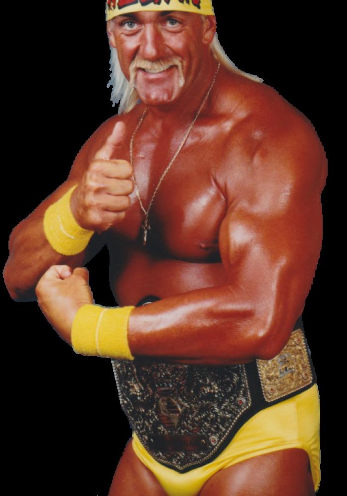 Hulk Hogan (WWE-World Wrestling Federation) SQ TTS Computer AI Voice...
