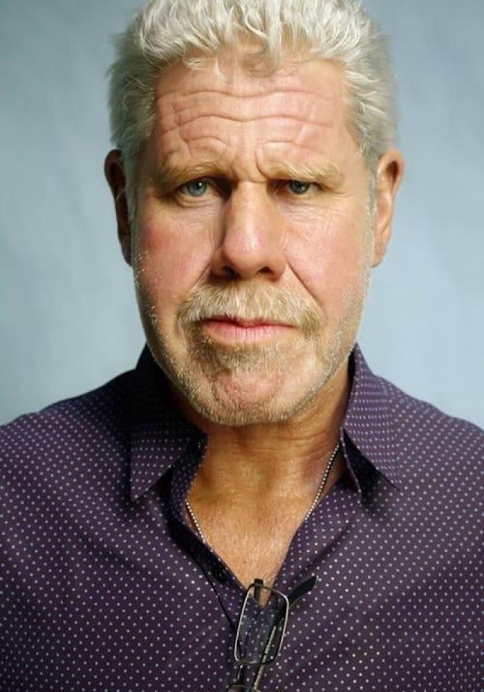 Ron Perlman (Fallout Narrator) TTS Computer AI Voice Soundboard