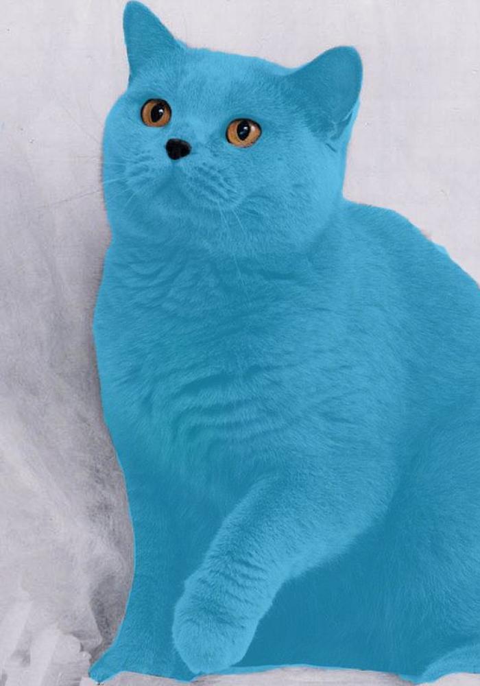 💬 Smurfcat Soundboard