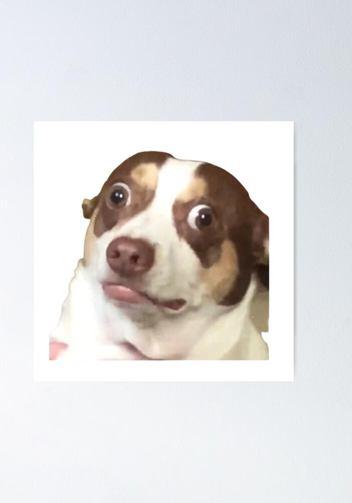 Mr. Bubz TTS Computer AI Voice Soundboard