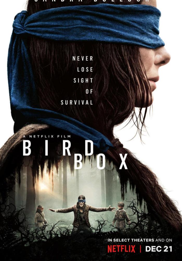 💬 Bird Box