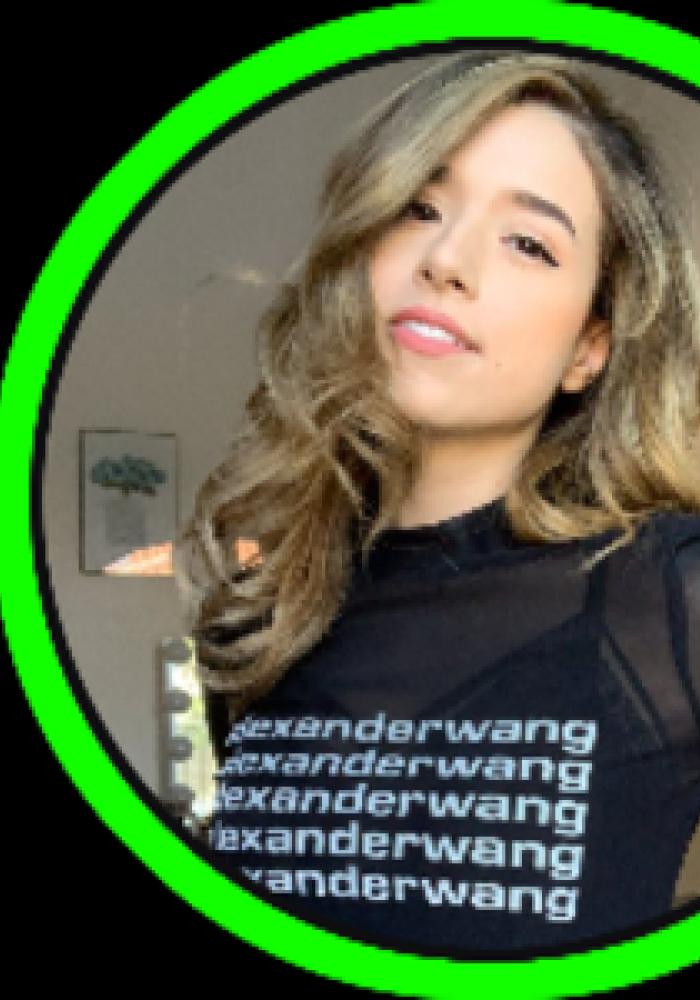 💬 Pokimane (Streamer)
