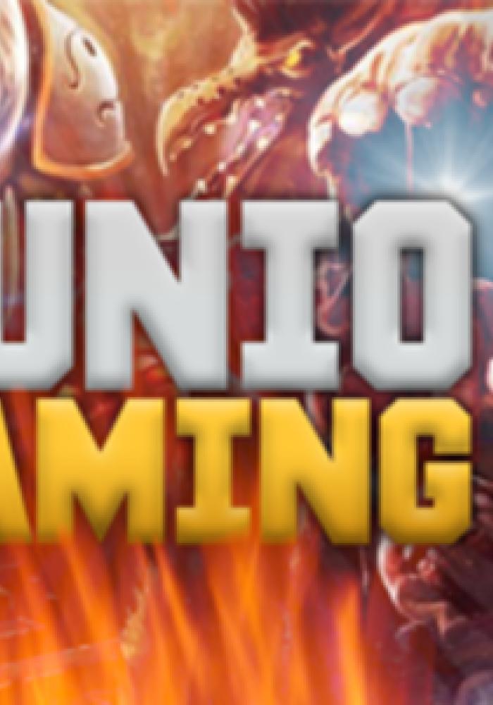 💬 Puniogaming (Twitch Streamer)
