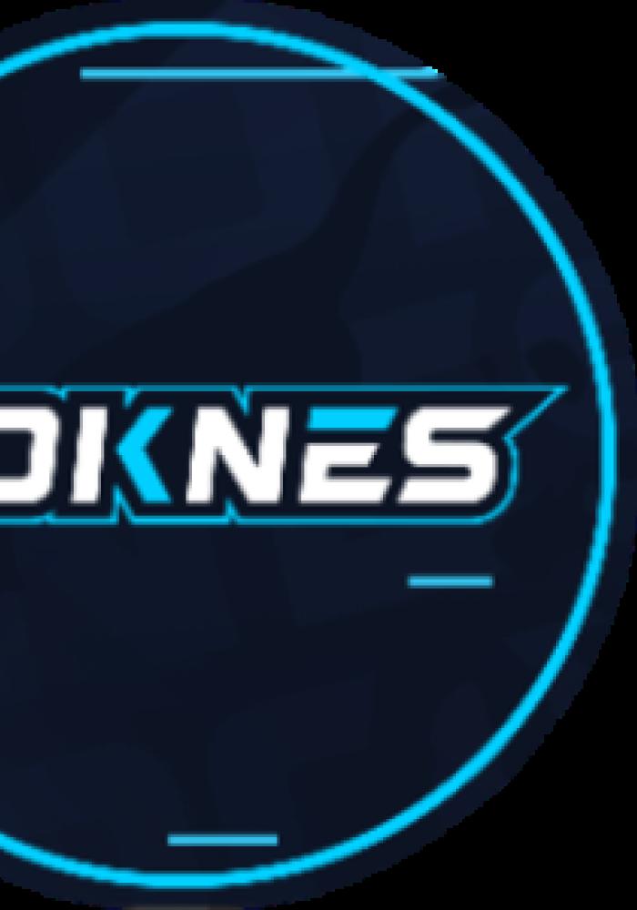 💬 Doknes (Streamer)