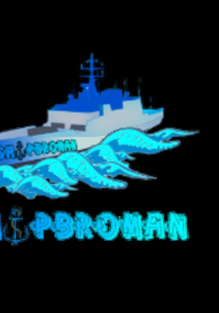 💬 Shipbroman (Twitch Streamer)
