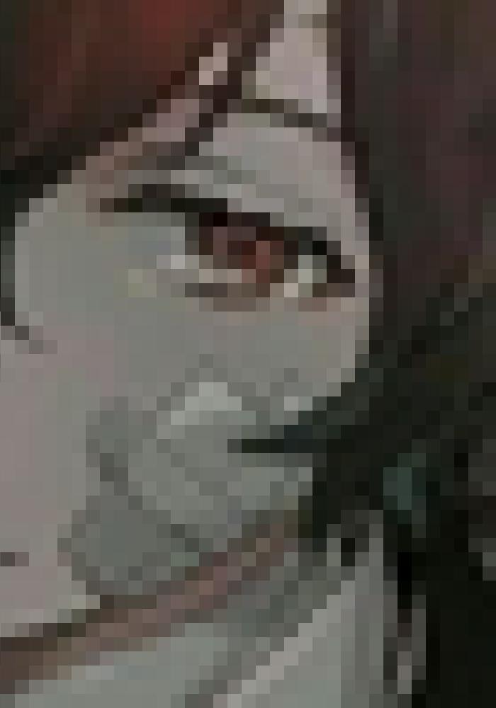 💬 SchrodingerLee (Streamer)