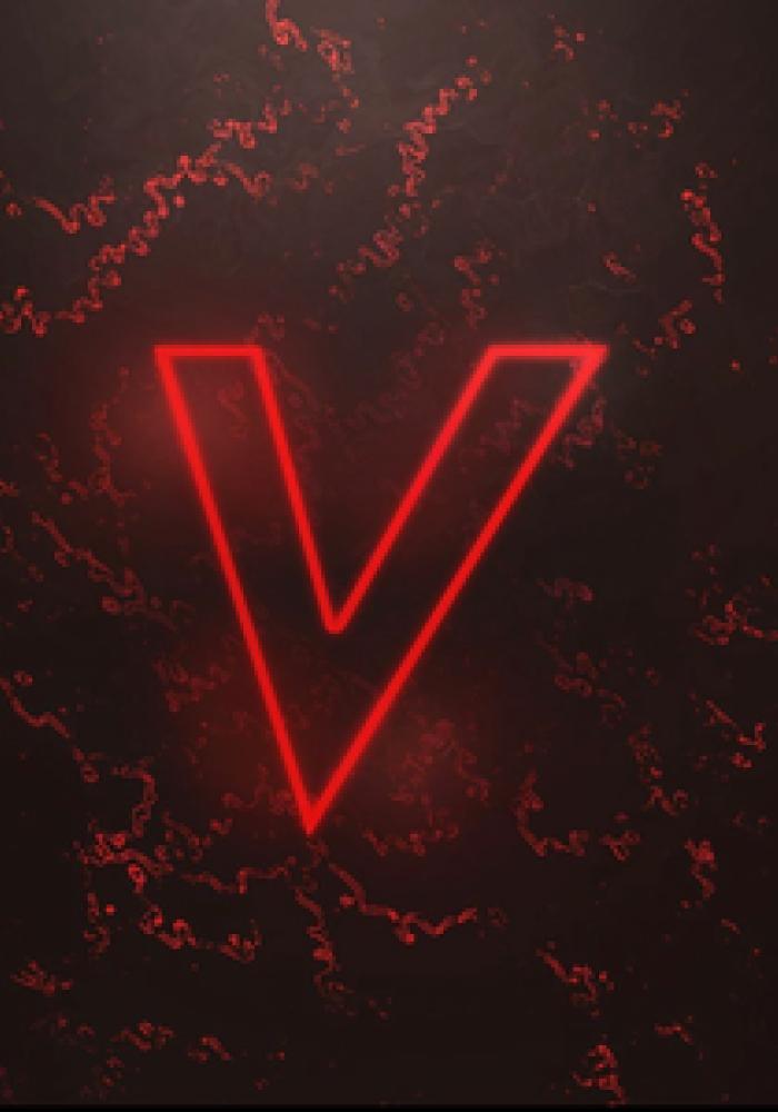 💬 Vinnie (Streamer)