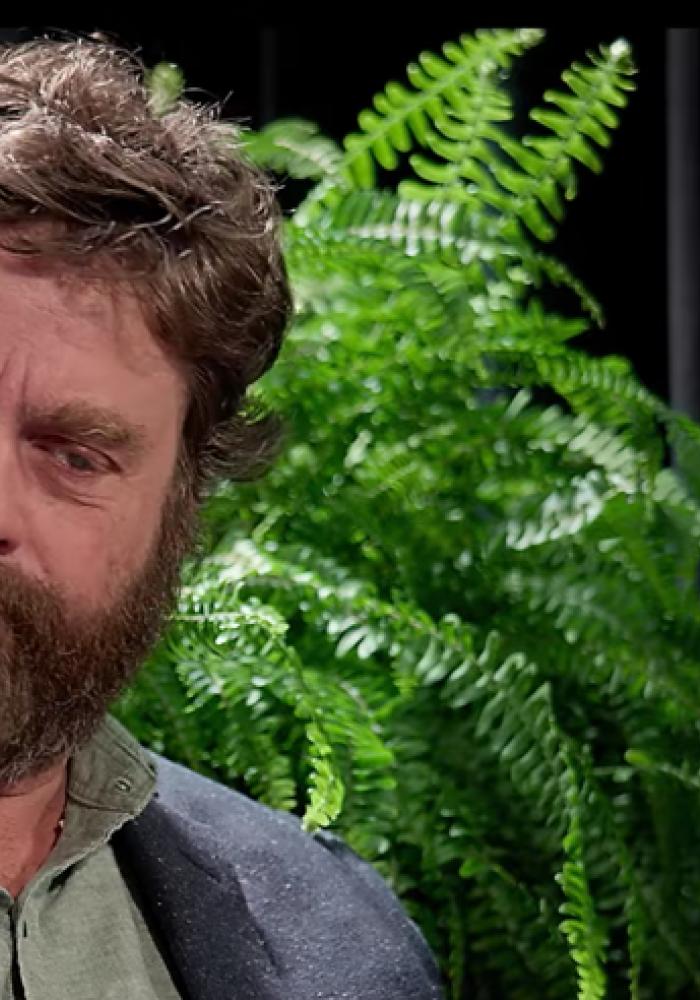 💬 Between Two Ferns with Zach Galifianakis: Bradley Cooper