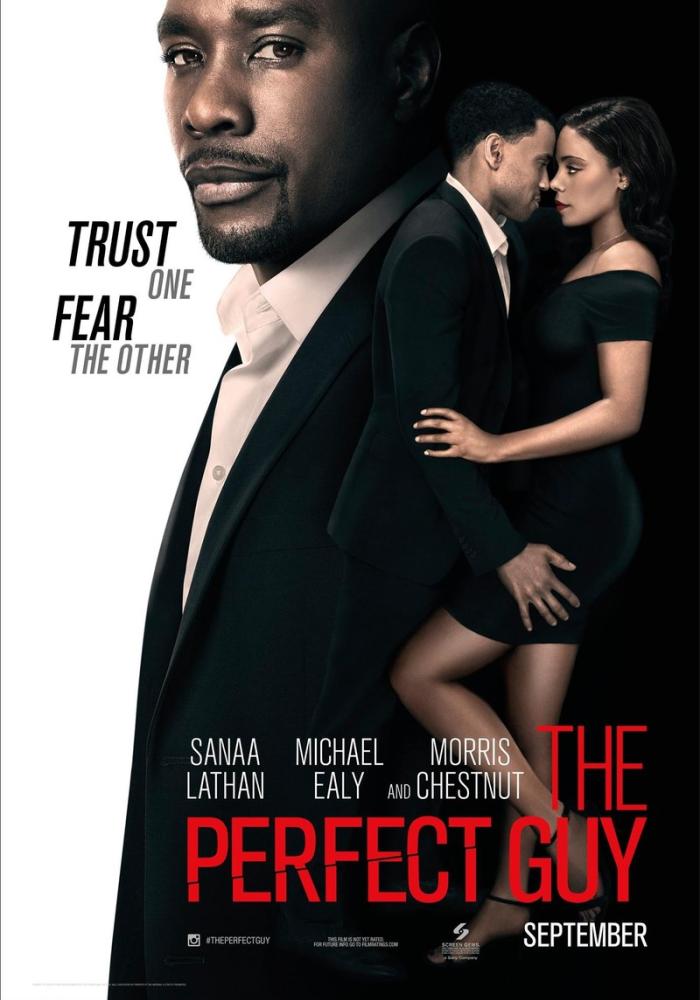 💬 The Perfect Guy (2015)