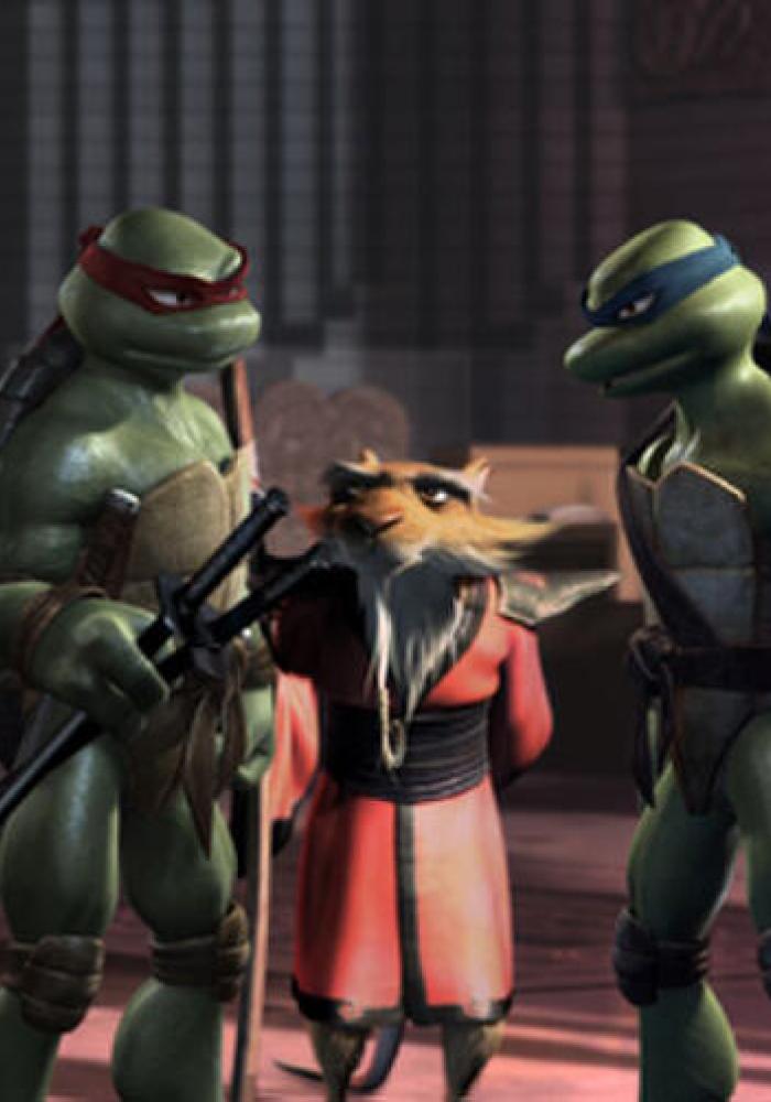 💬 TMNT (2007)