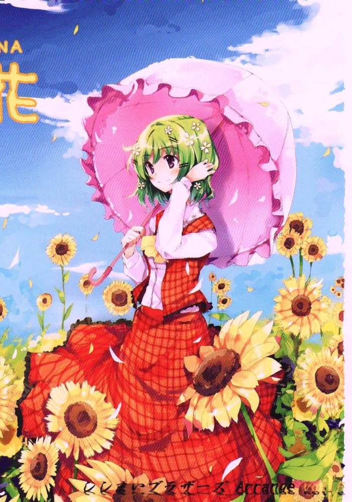 💬 KONOHANA 此花 Touhou Youyoumu ~ Perfect Cherry Blossom. Touhou...
