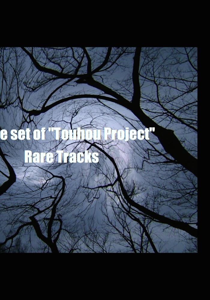💬 House set of ''Touhou Project'' Rare Tracks Touhou 例大祭11