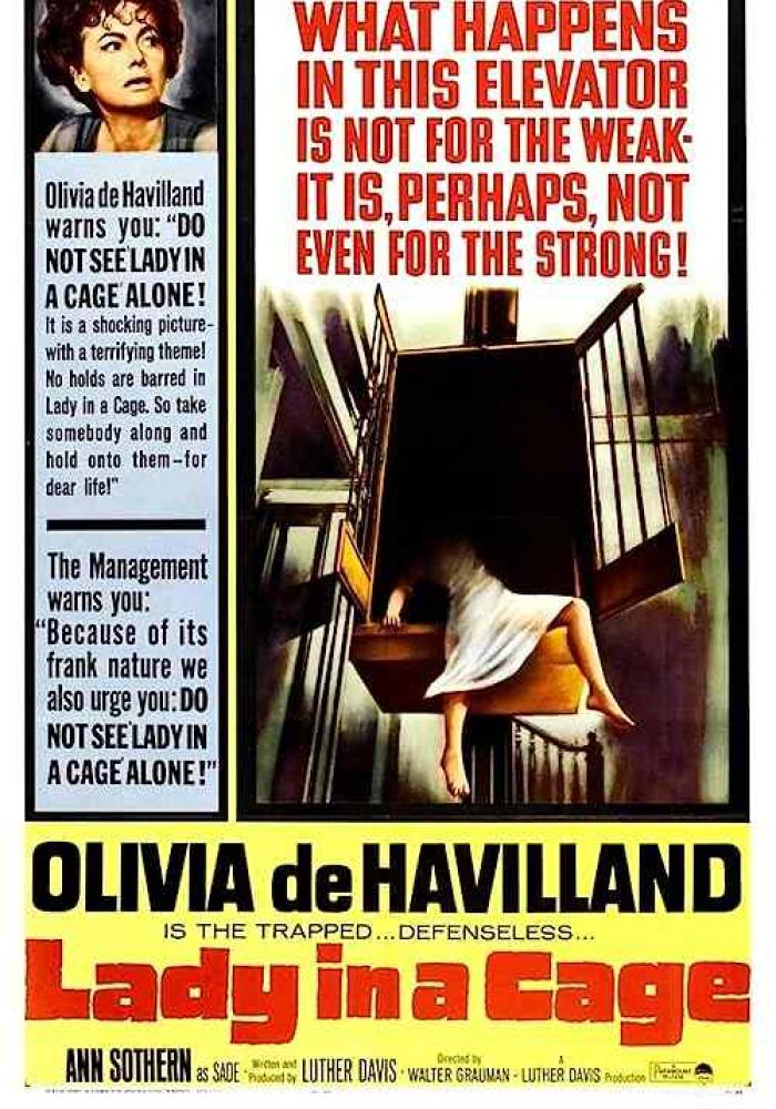 💬 Lady in a Cage (1964)