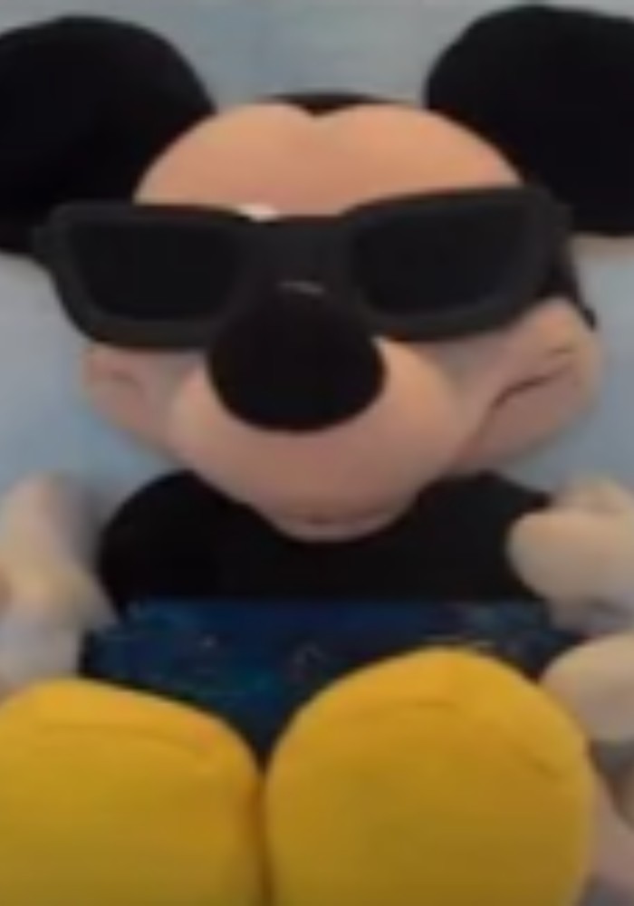 💬 Mickey Mouse Harmonica Toy