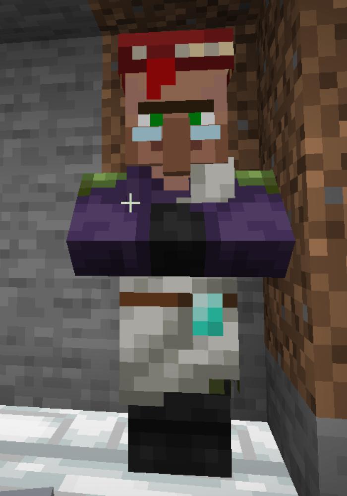 💬 Mincraft villager impressions