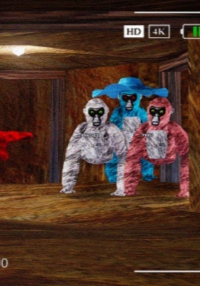 💬 GORILLA TAG GHOST OR WARNING BOT