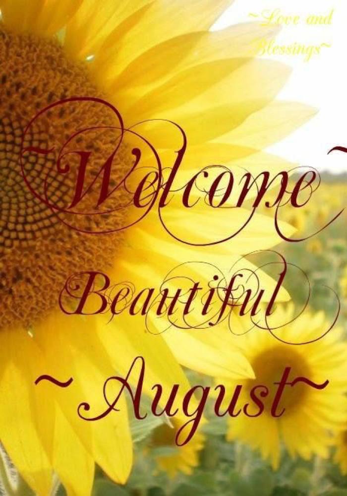 💬 August Soundboard