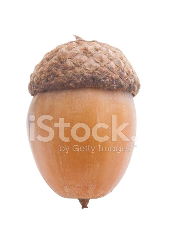💬 Acorn Soundboard
