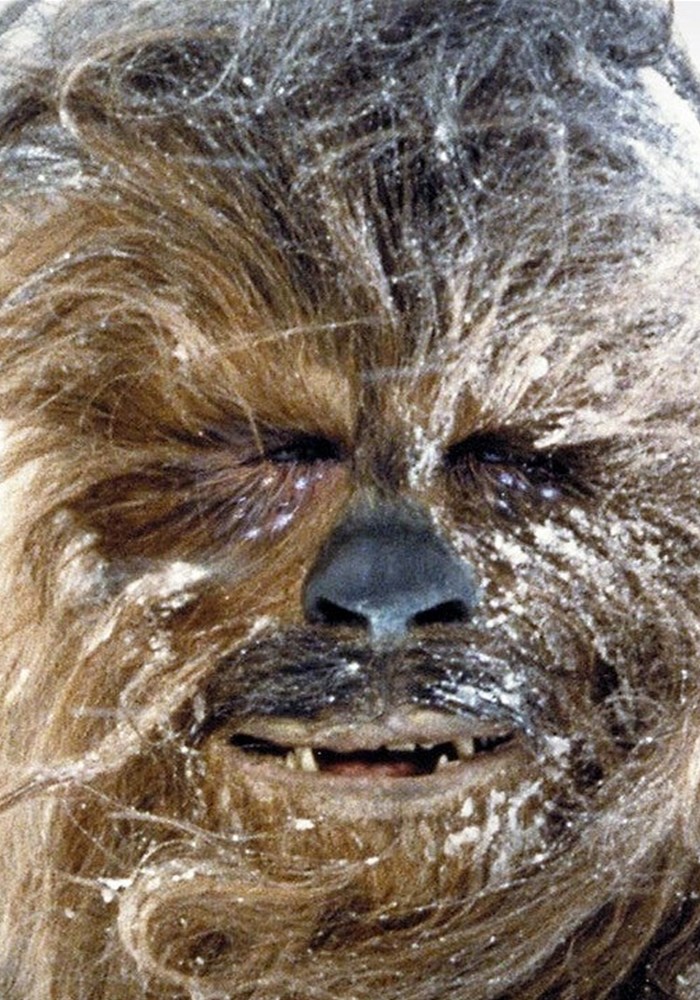 💬 Chewbacca Sounds