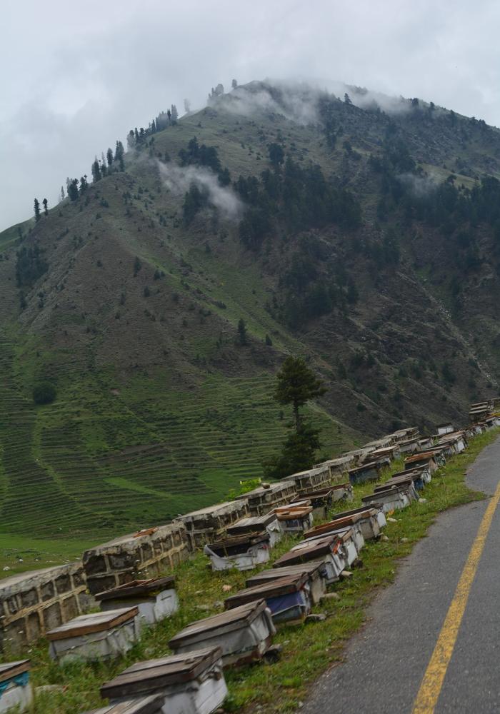 💬 Naran Soundboard