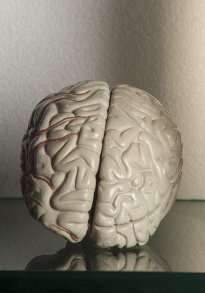 💬 Brain SFX