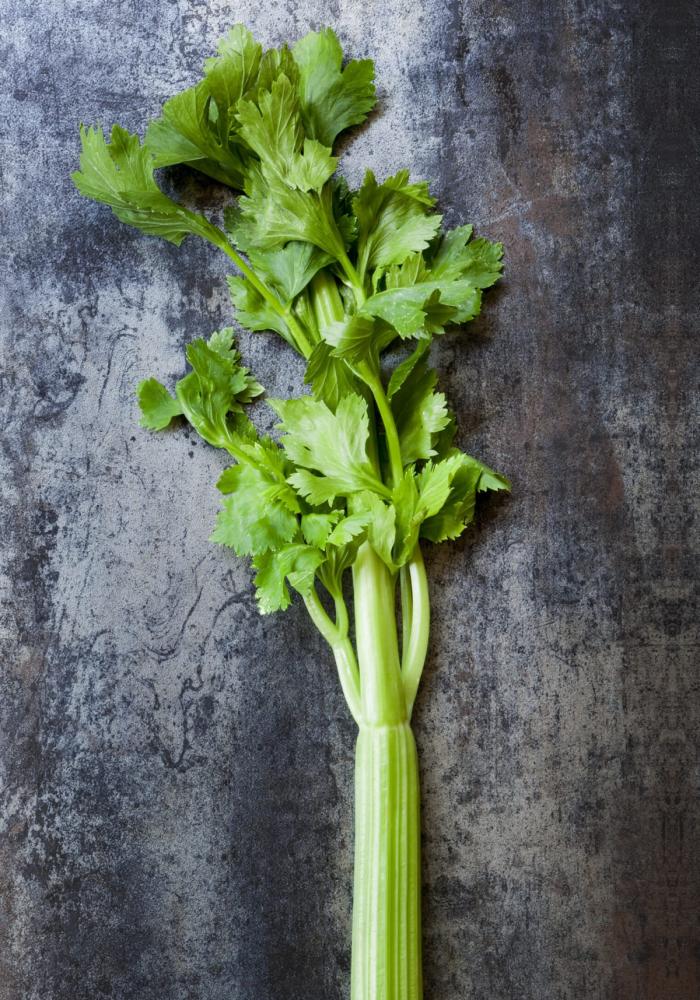 💬 Celery SFX
