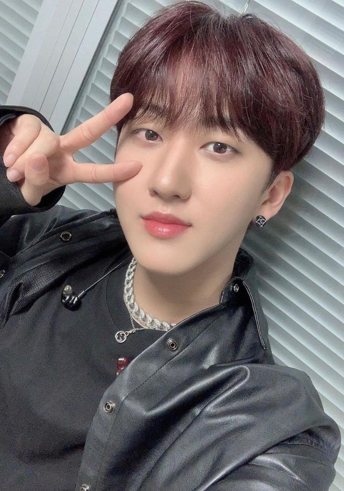 Changbin (Kpop, Stray Kids) HiFi TTS Computer AI Voice Soundboard