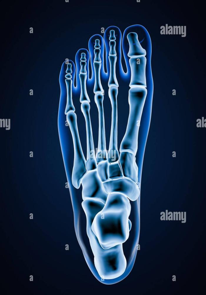 💬 Left foot SFX Library