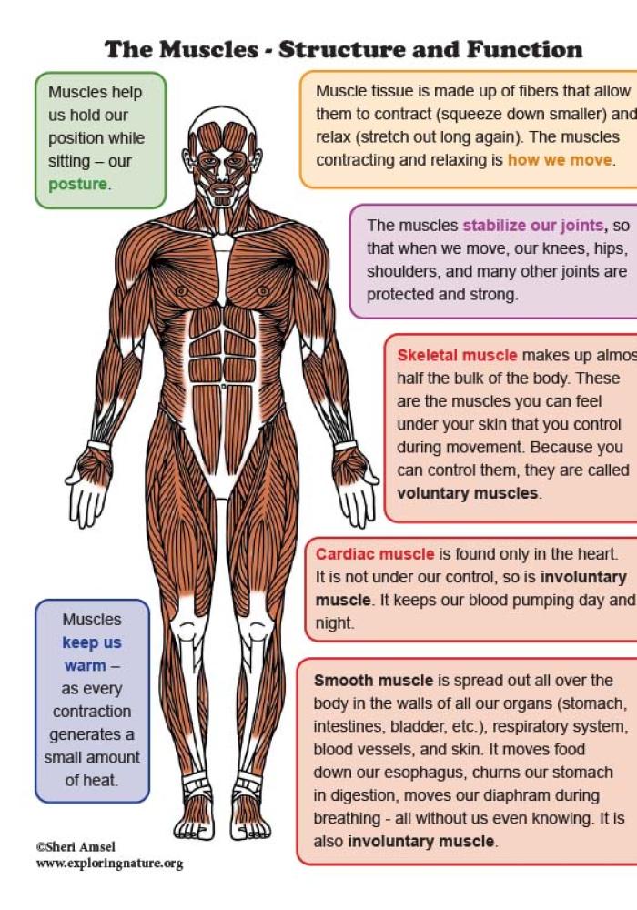 💬 Bodily function SFX Library