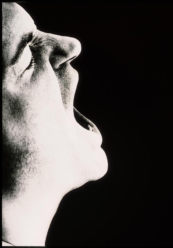 💬 Pained scream SFX Library