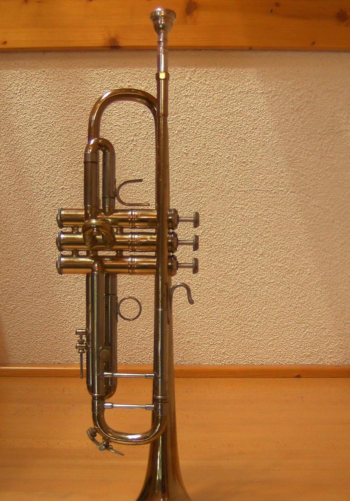 💬 Trumpet Collection