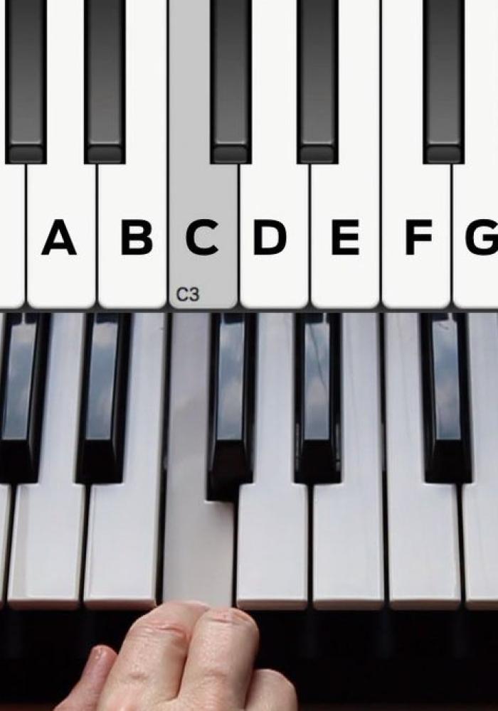 💬 Midi-Note-70 SFX