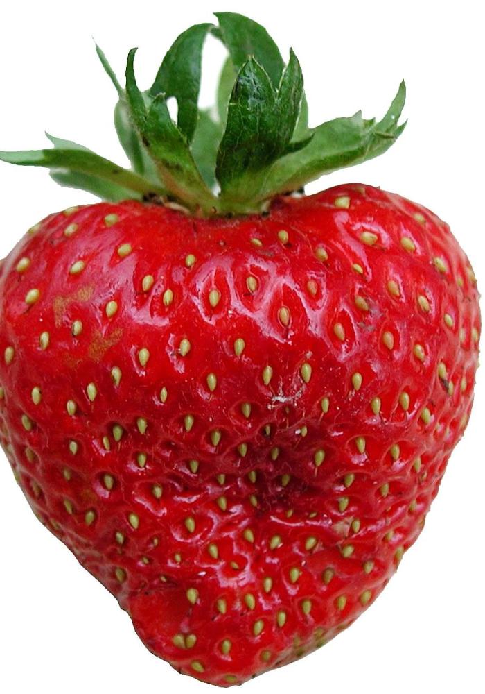 💬 Stawberry