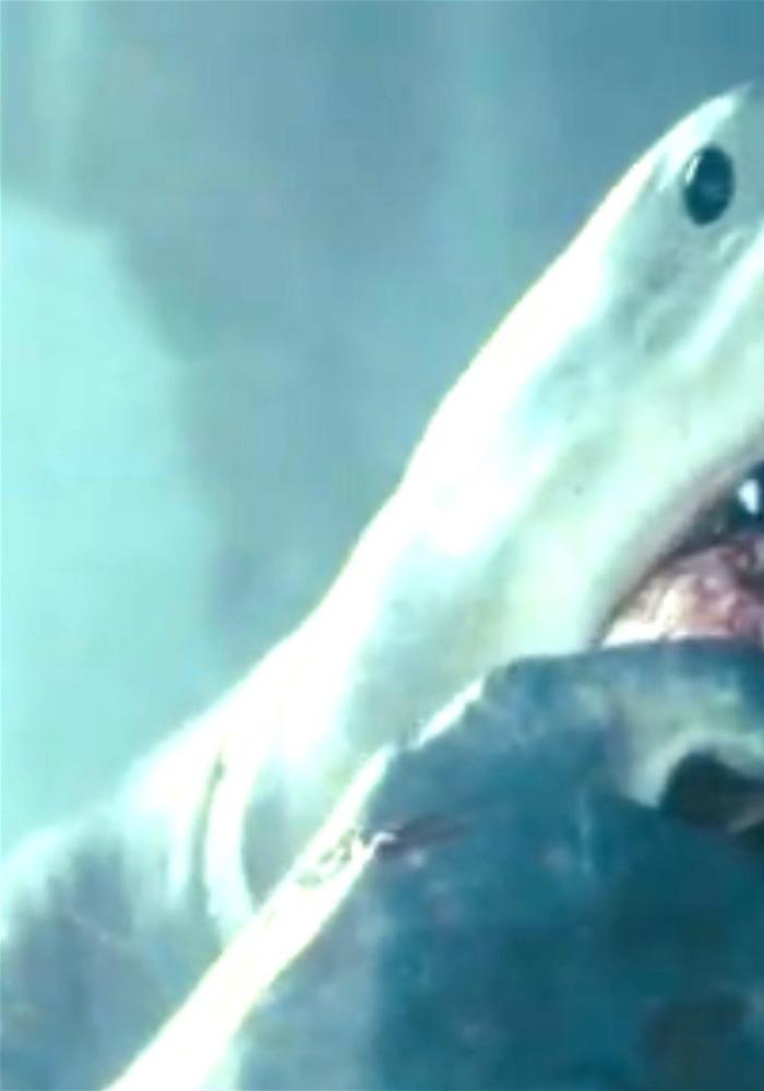 💬 King Shark Soundboard