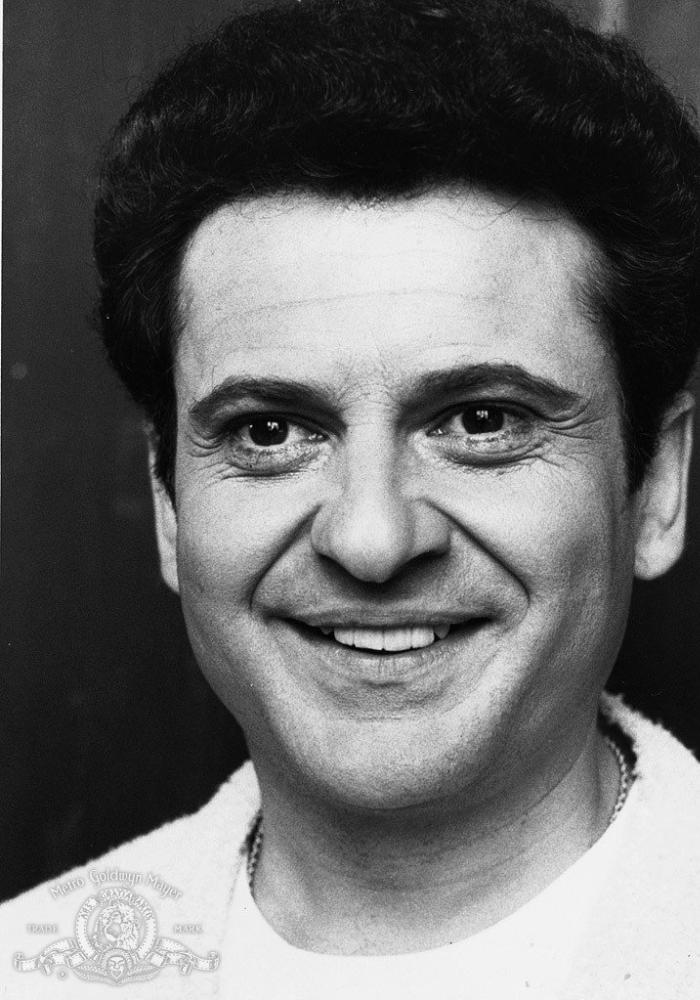 Joe Pesci (Version 2.0) TTS Computer AI Voice Soundboard