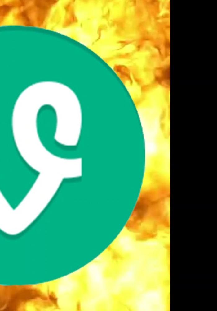 💬 Vine boom