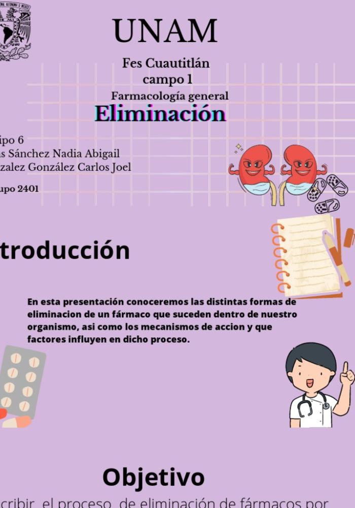 💬 EQUIPO 6 PALOMO KU ANGEL RAFAEL