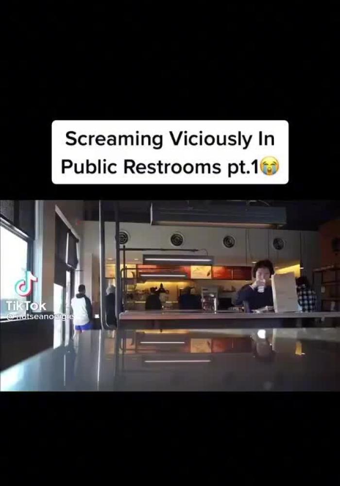 💬 Screaming in public restrooms prank