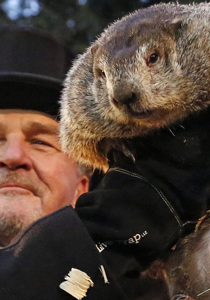 Groundhog Day Soundboard
