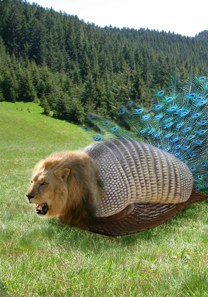 EPIC ANIMALS Soundboard