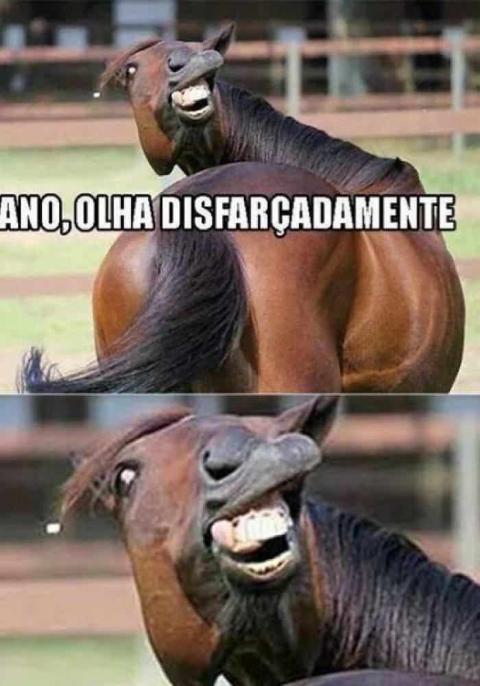 💬 Cavalo Meme Soundboard