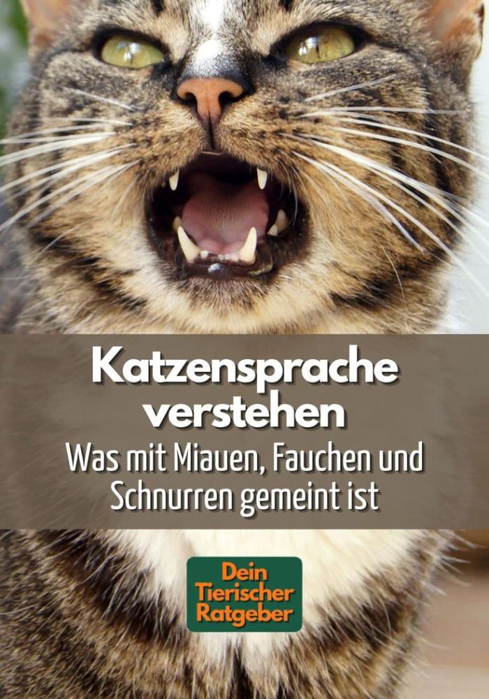 💬 Fauchen laut Soundboard