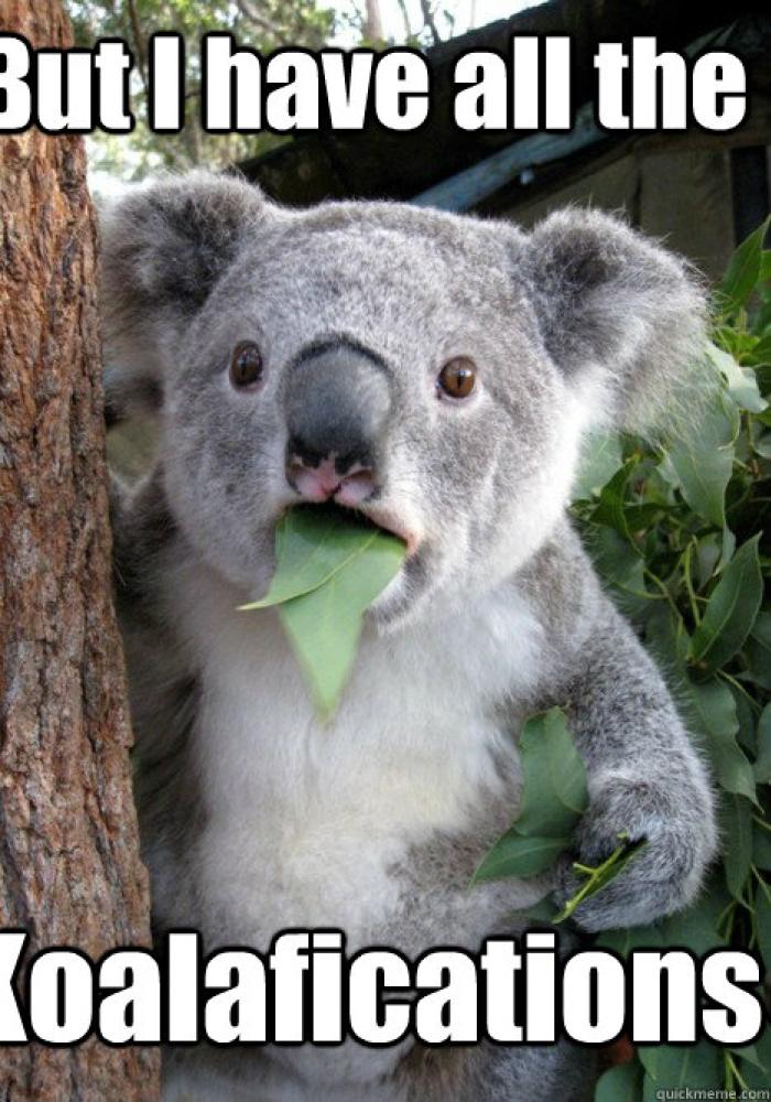 💬 Koalafication Soundboard