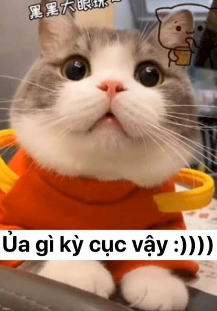 💬 Búa meme Soundboard